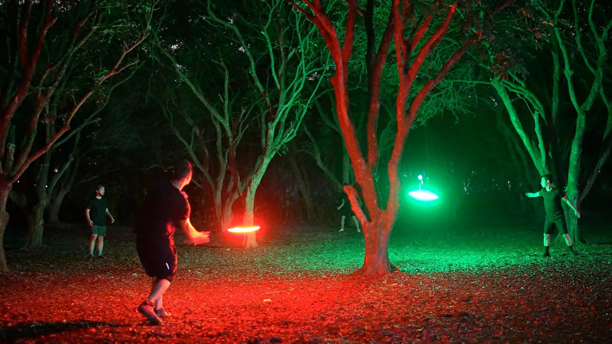 How to Play Frisbee at Night: A Simple Guide for Fun and Safe Outdoor ...